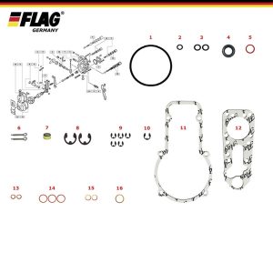 Delphi Inline Injection Pump – FLAG Germany GmbH