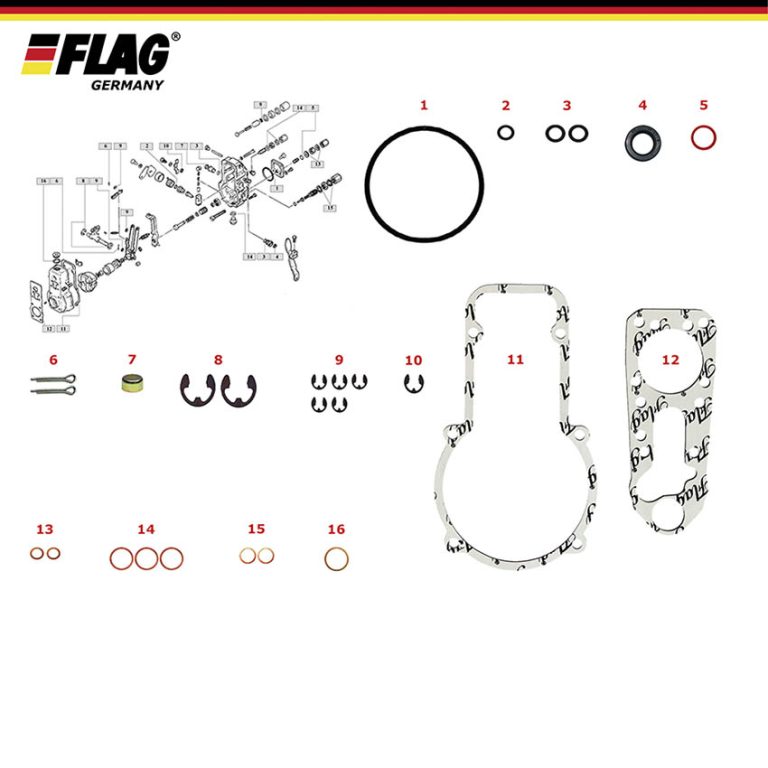 Delphi Inline Injection Pump – FLAG Germany GmbH
