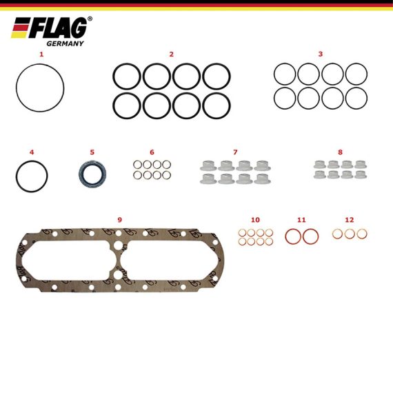Delphi Inline Injection Pump – FLAG Germany GmbH